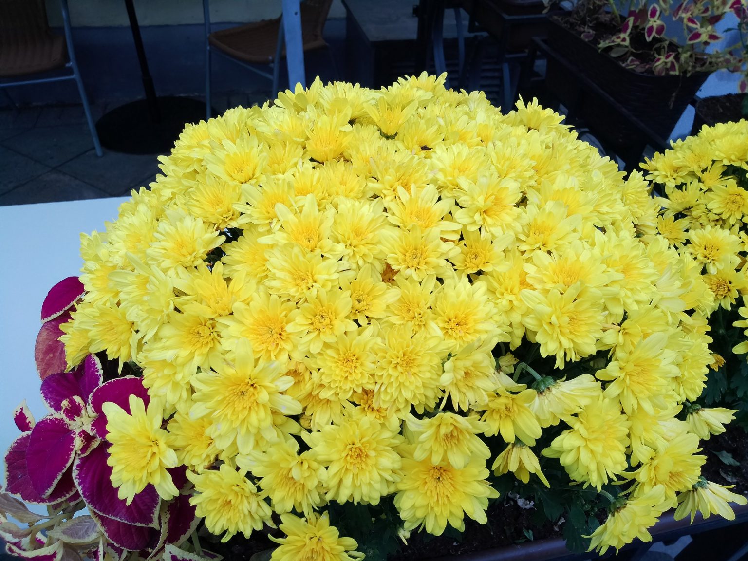 Обзор смартфона realme C31 (RMX3501) — Mobile-review.com — Все о ...