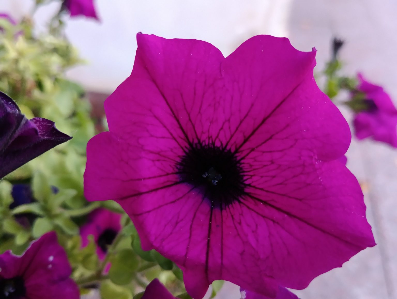 Обзор POCO M5: доступный и мощный — Mobile-review.com — Все о мобильной ...