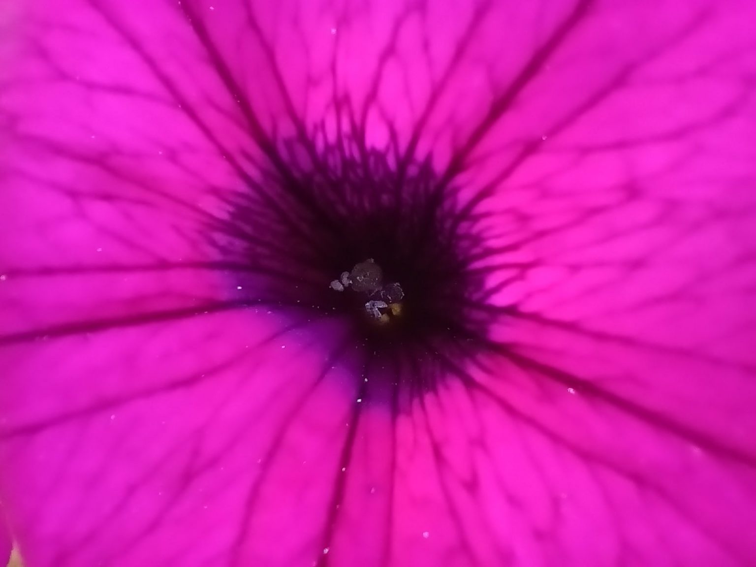 Обзор POCO M5: доступный и мощный — Mobile-review.com — Все о мобильной ...